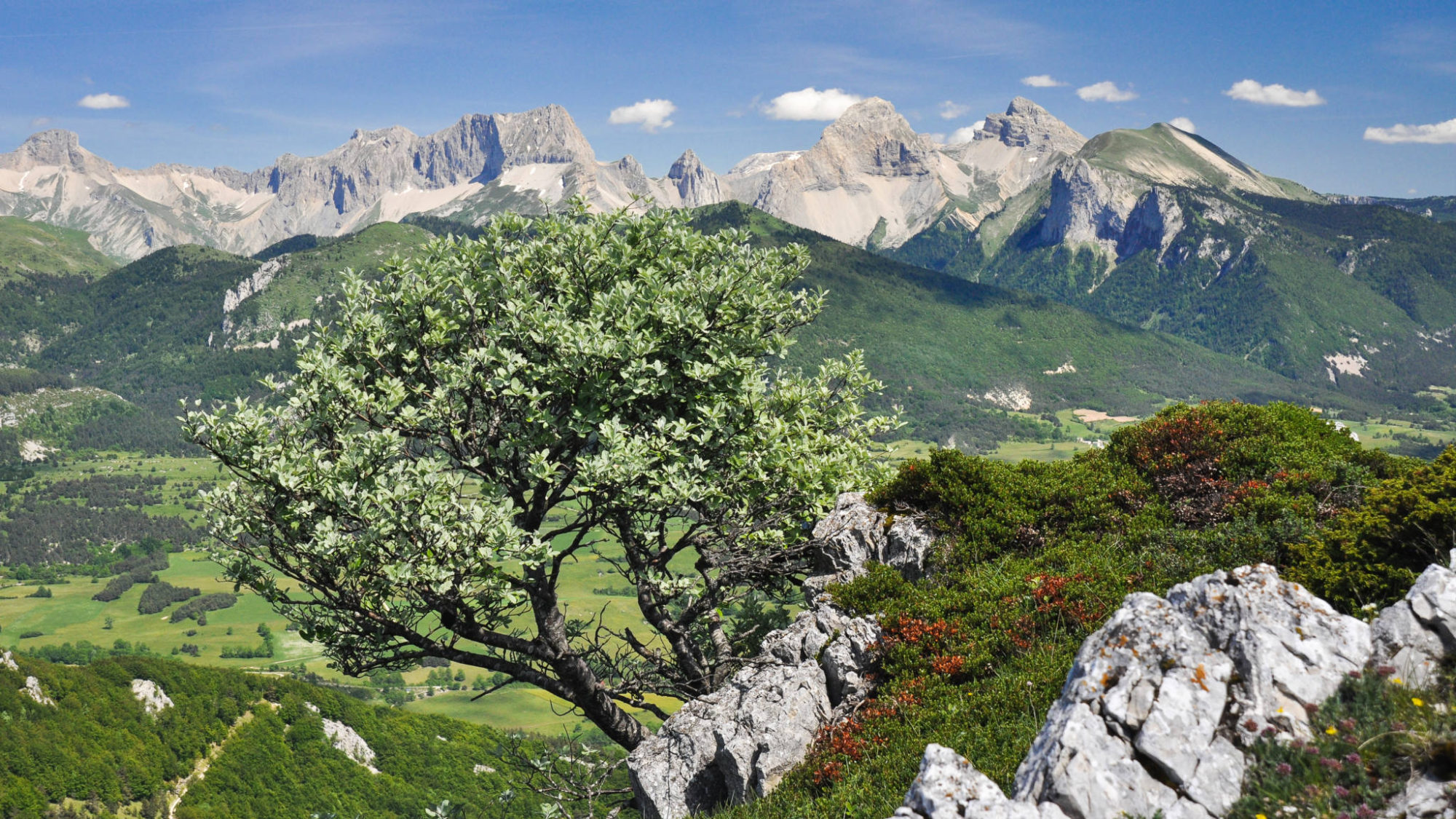 Diois enchanteur - Vercors Escapade