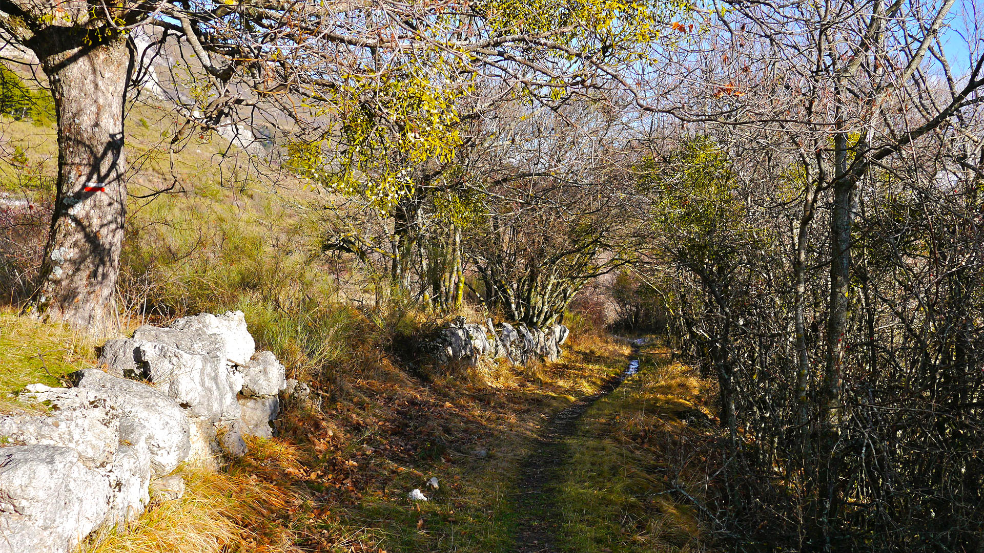 Rando Land Art, autour des œuvres d'Andy Goldsworthy