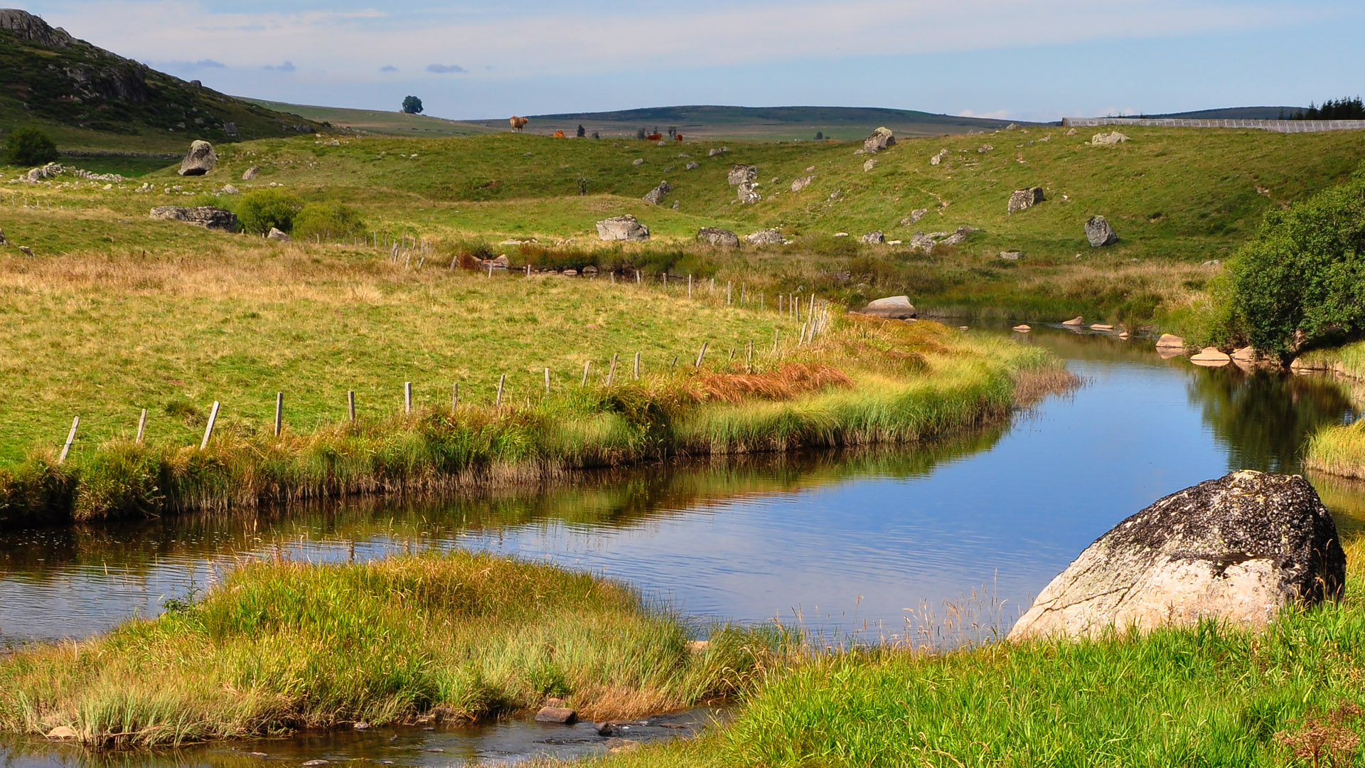 Marche afghane sur le plateau de l'Aubrac - Vercors Escapade